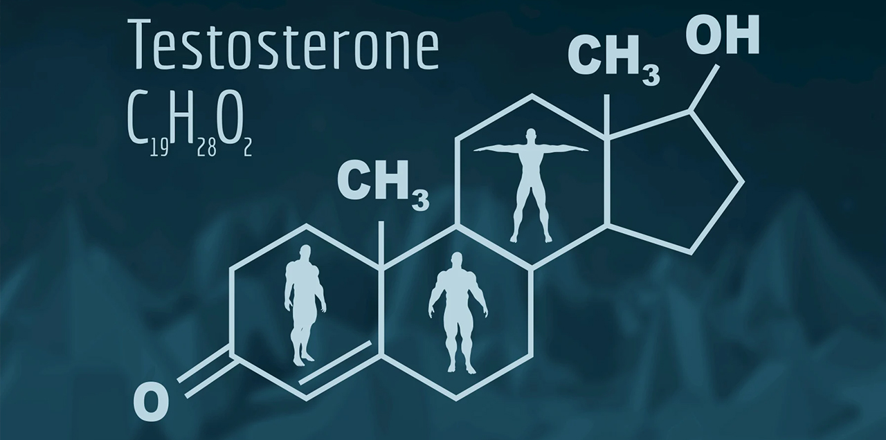 Breaking the Silence: Understanding Low Testosterone and Redefining ...